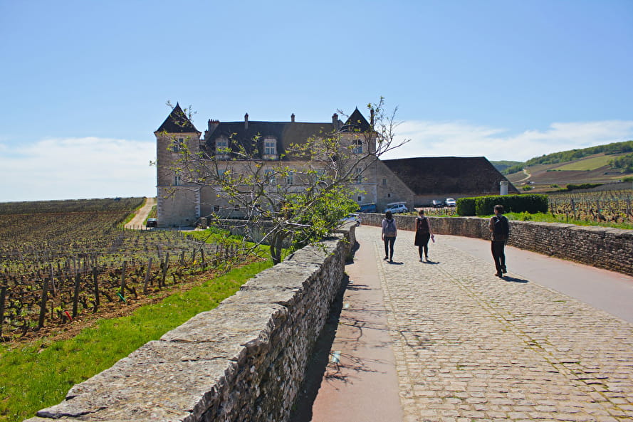 Château du Clos Vougeot | La Côte d'or J'adore
